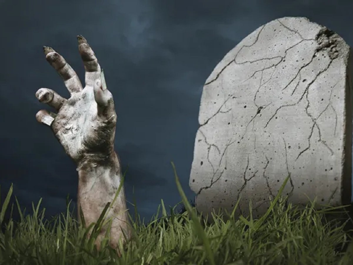 Alors qu’elle était censée être morte, une jeune femme ressuscite à son ...