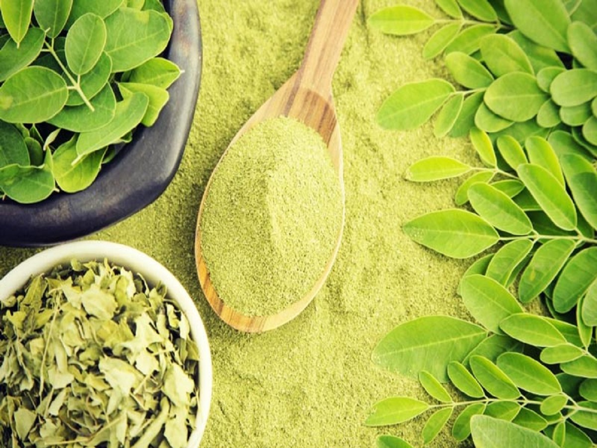 Voici les bienfaits du Moringa que vous ne savez pas - L-FRII